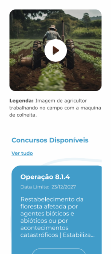 Portfolio - PEPACC - Buzzvel