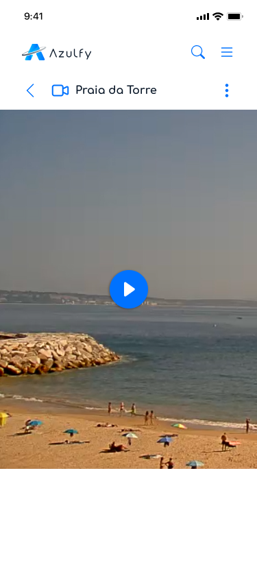 Portfolio - Azulfy - Buzzvel